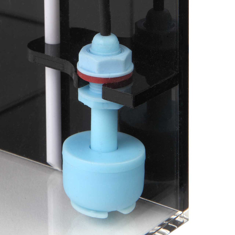 Natural Decor Gift Cards Paludarium Novelty