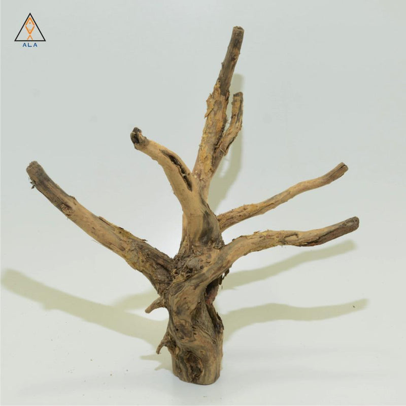 Home / Products / Neka Wood - ALA