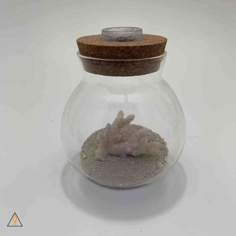 Home / Products / Glass LED Orb