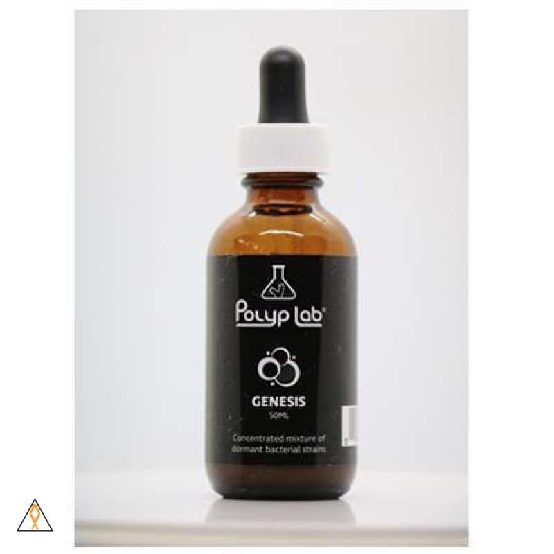 Home / Products / Genesis - Polyp Lab